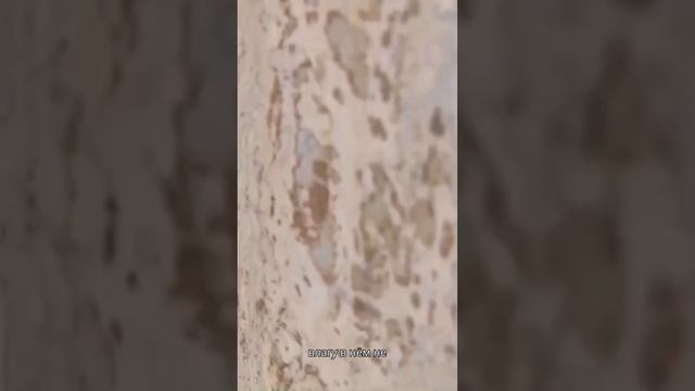 Трендовый материал для стен