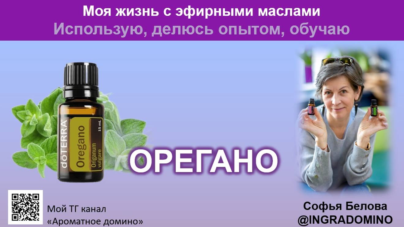 ОРЕГАНО (душица) / Моя ароматная жизнь