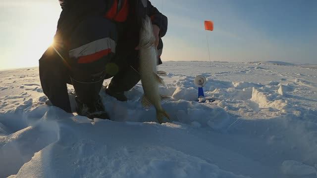 Рыбалка 16 02 22