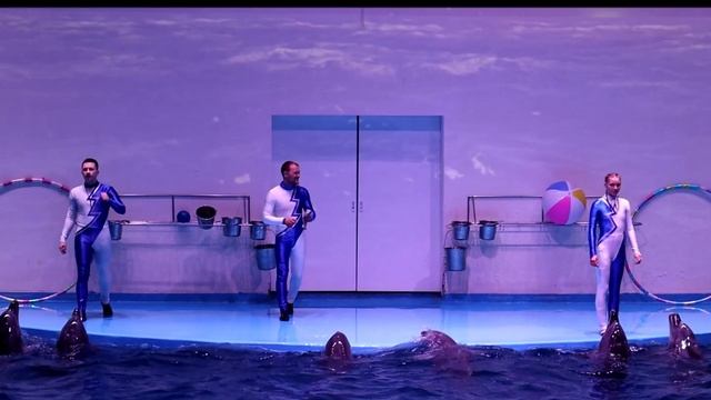 дельфинарий  г. Екатеринург