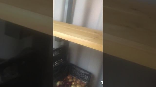 Отзыв клиента о погребе TINGARD #28 (г. Москва)