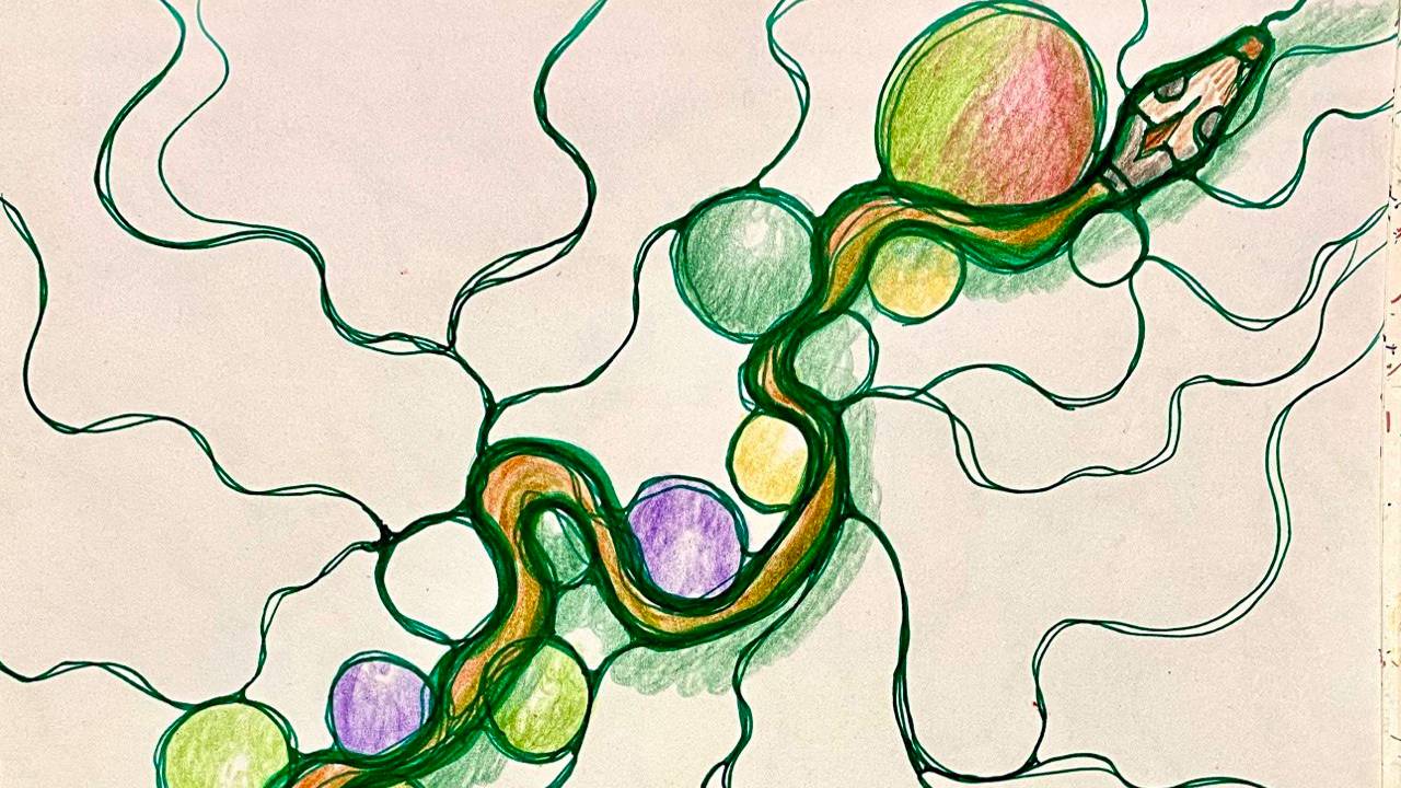 "Символ года и Нейро Планирование на февраль"