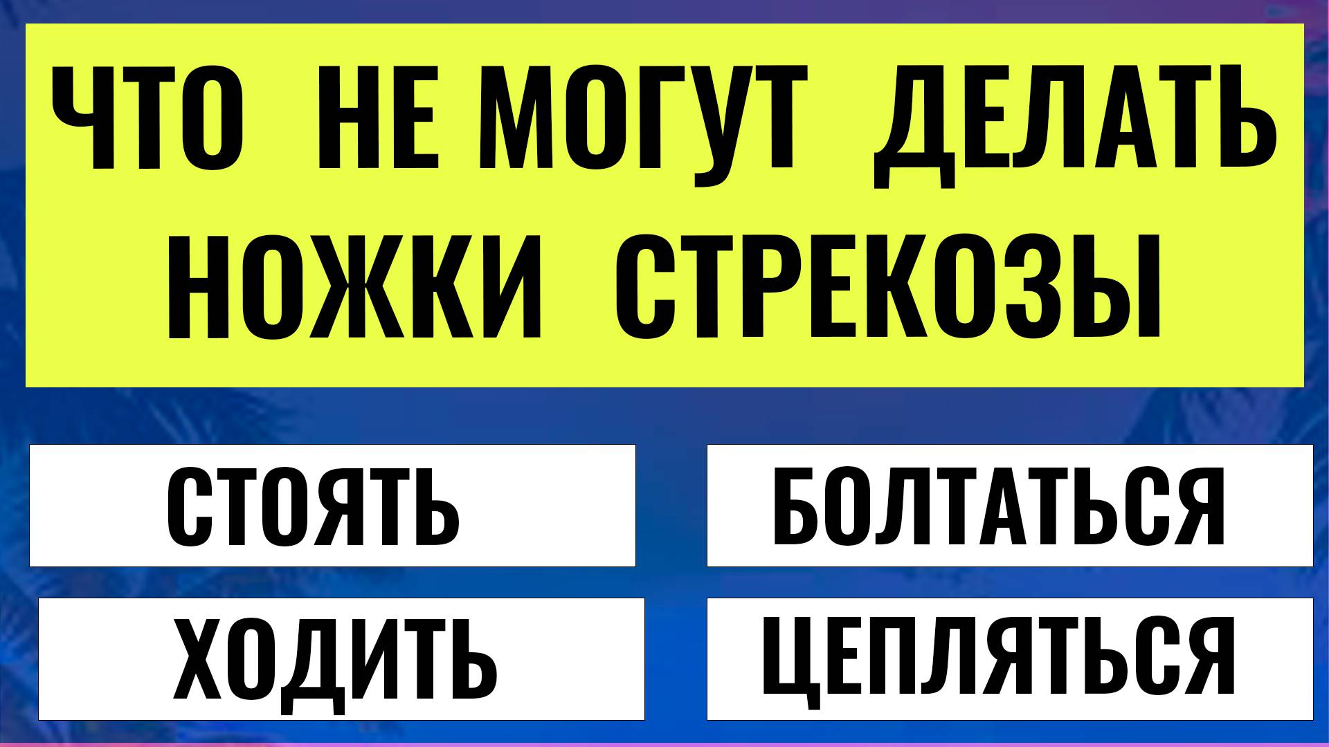 20 Вопросов для Мудрых: Справитесь? Пройдите Тест на Эрудицию