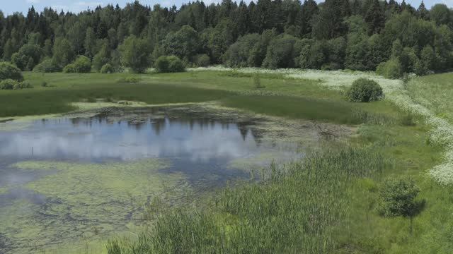 "Кто живёт в пруду?"
8 серия - Очарование живой природы