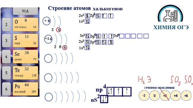 халькогены