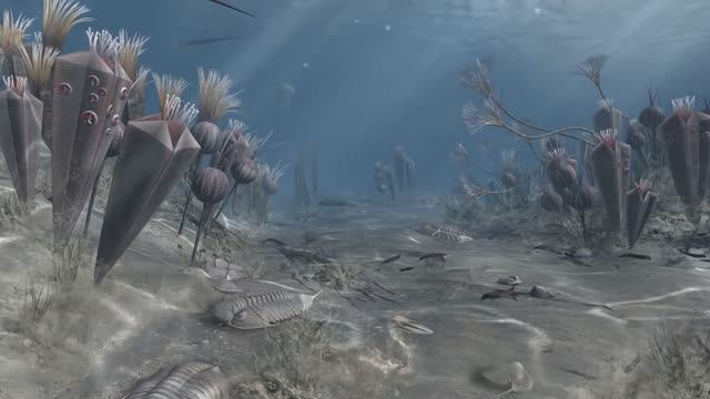 "Таинственные превращения"
7 серия - Очарование живой природы