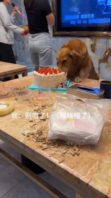 Здорово когда каждый занят своим делом 😜🤣🤣