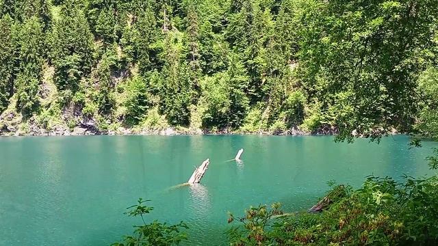 Что посмотреть в Абхазии – озеро Малая Рица