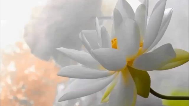 3626-из Гарыныч ВЕТЕР-Собственность Господа!-Байка.