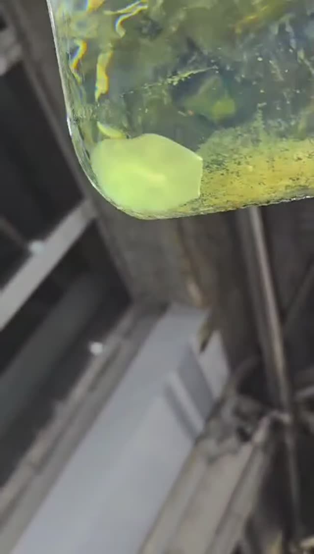 Kia Sportage - плохой запуск!