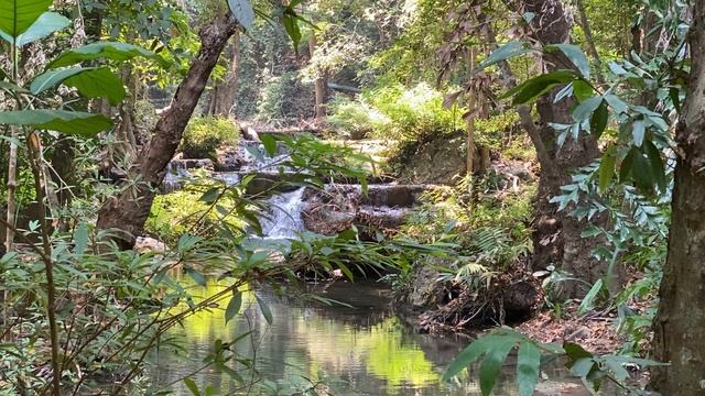 Водопад Эраван / видеофон / футаж / Таиланд / живая природа