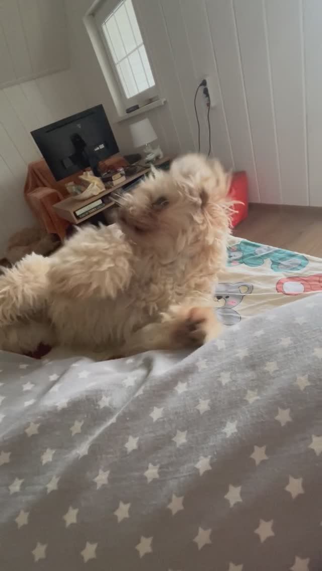 Мы проснулись