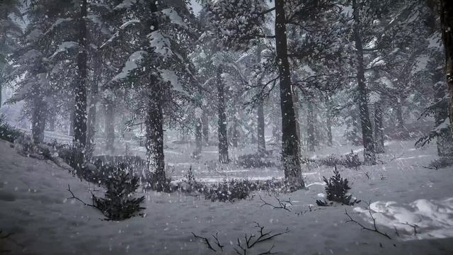 Зимний лес со звуками холодного ветра со снегом и необыкновенной атмосферой зимы