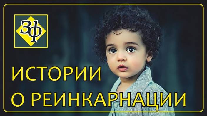 Обычная реинкарнация ｜ Истории наших зрителей