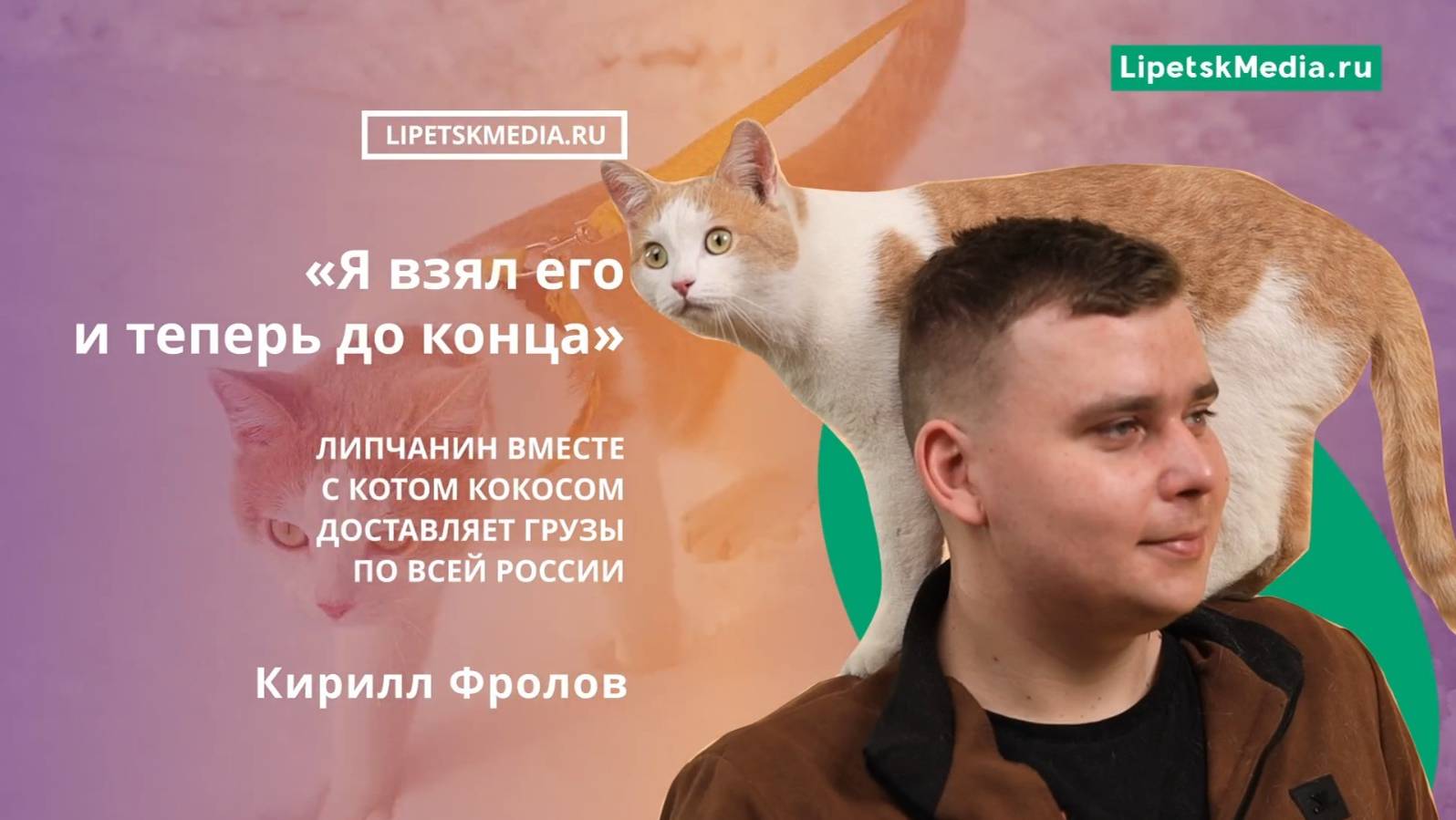 Кот и дальнобойщик