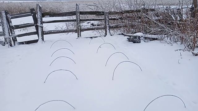 08.12.2024г. Дружной компанией проверяем укрытие винограда и клубники.
