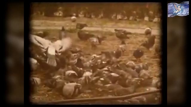 Виктория Черенцова (Che) "ОСЕНЬ"