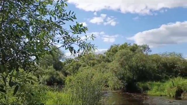 Deep Space Anatol - Любовь моя.