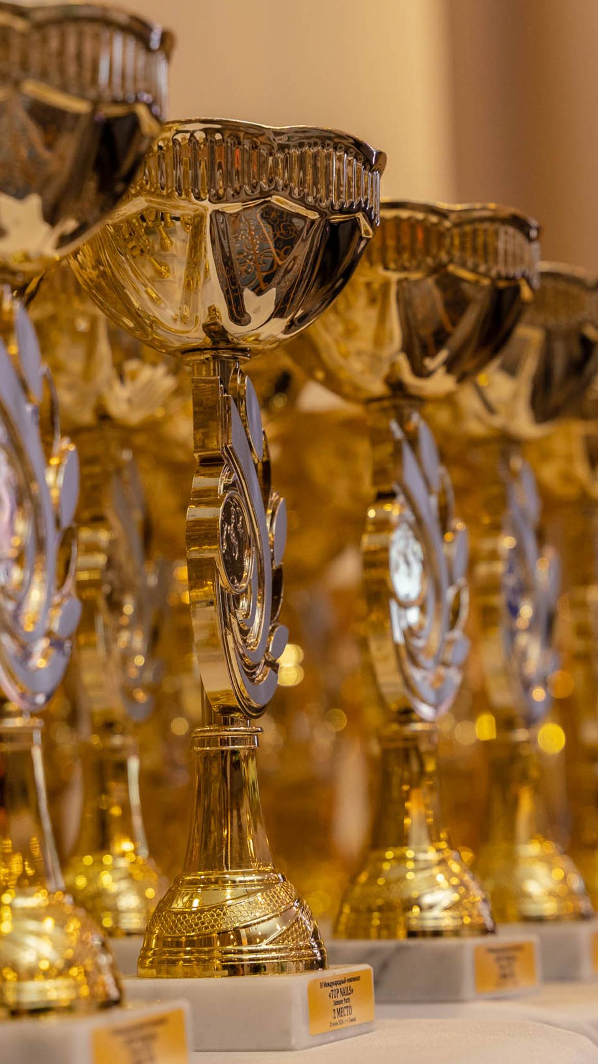 Первое место , номинация полный образ исполнитель моя ученица Бригоренко Ольга  mp4