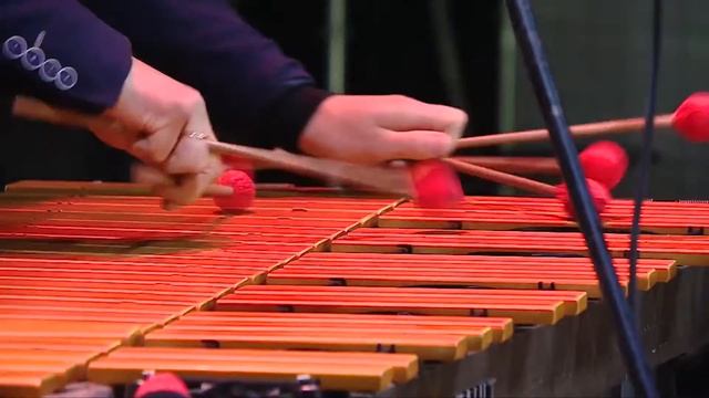 Уникальный Терменвокс и Вибрафон. Болеро Алексея Чижика