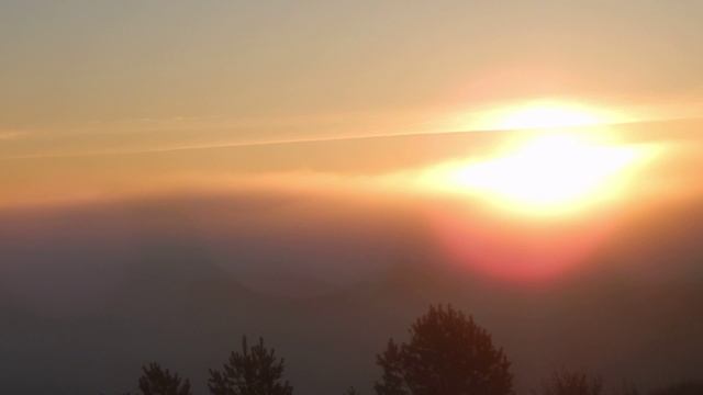 Заводь рассвет