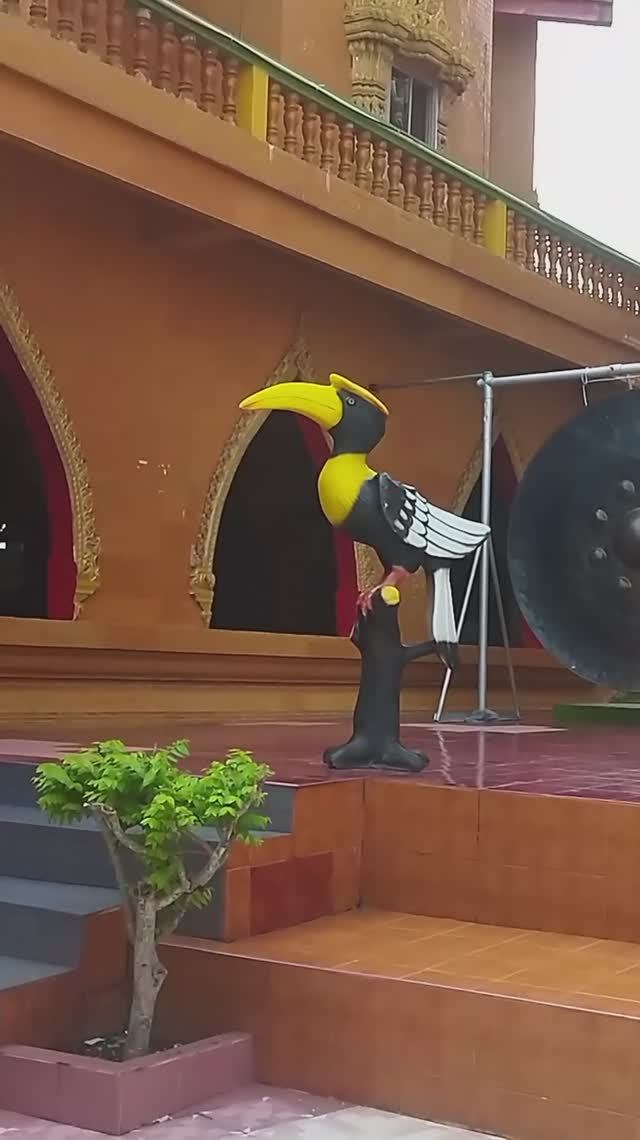 Интересное путешествие по Таиланду !