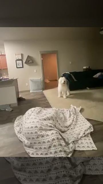 Куда же она подевалась??? 😅😂