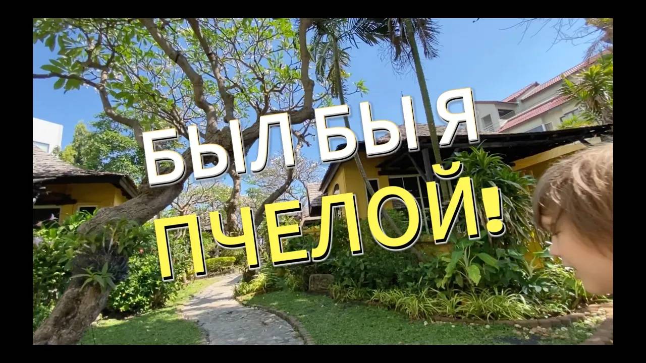 Часть 2. Что мы нашли на пляже!