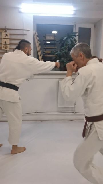 Школа боевых искусств Сейфукан Додзё г Сургут. Январь 2025. Группое занятие