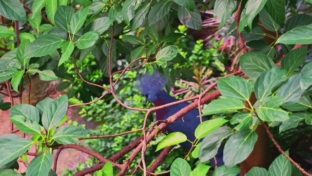Hong Kong Park, China