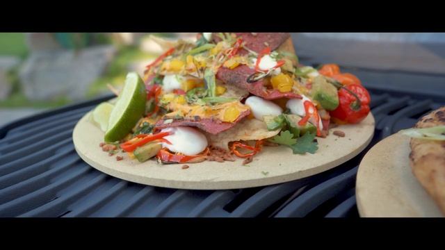 Портативный газовый гриль Napoleon TRAVELQ™ PRO285X