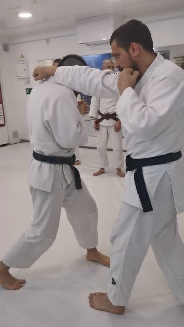 Школа боевых искусств Сейфукан Додзё г Сургут. Январь 2025