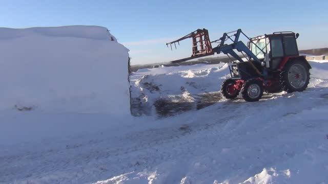 Т-40 АМ с кабиной ЮМЗ, ЛТЗ-55 и  Т-25 со снеговиком - всем нашлась работа в выходной!