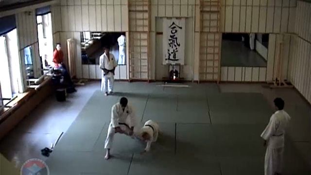 "Диагонали квадрата". Показательные выступления клуба Ёсинкан Айкидо "Сутэми".