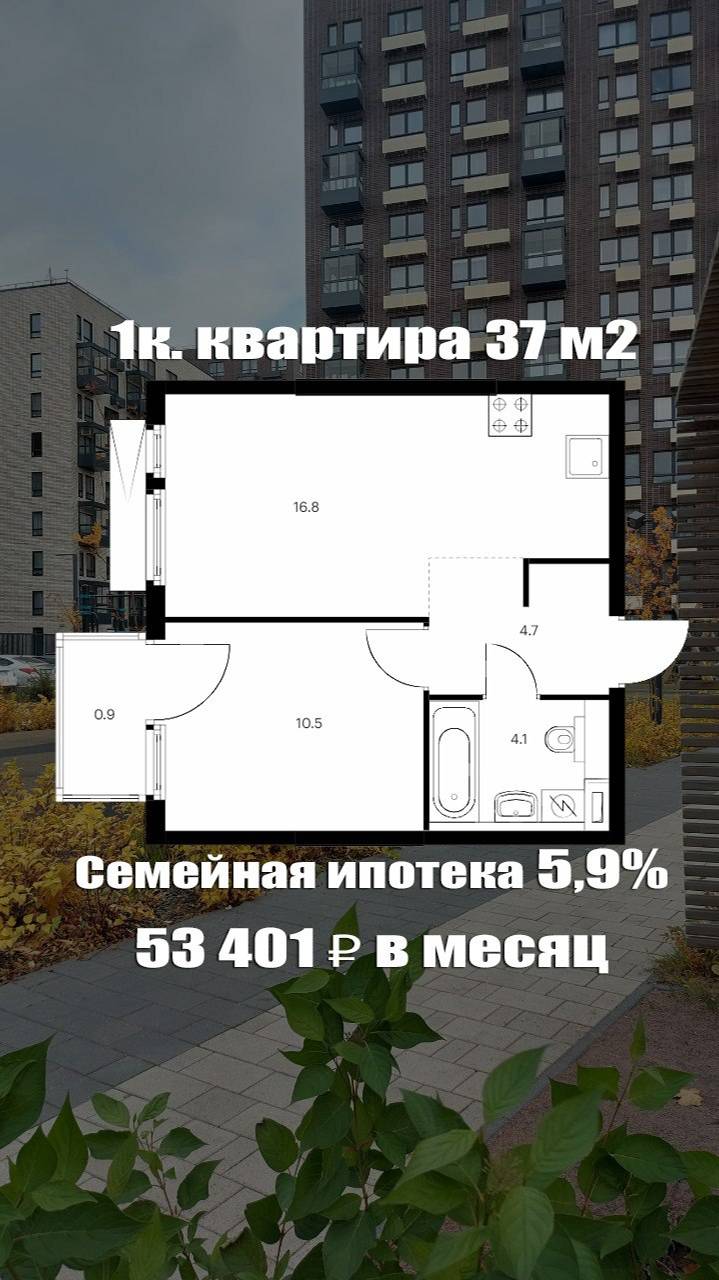 1к. комнатная 37 м² за 53 401 ₽ в месяц