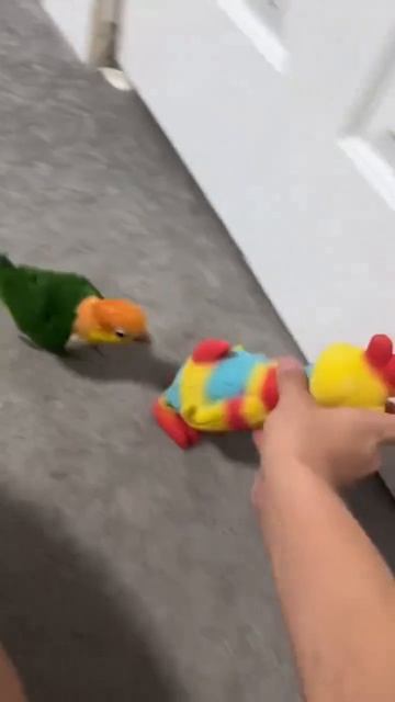 Летка-енка 😁😁