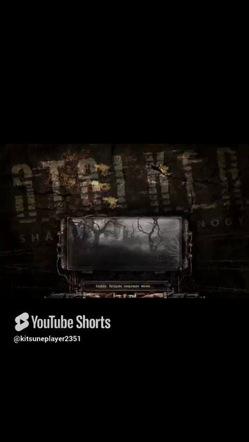 Stalker Пошли накер