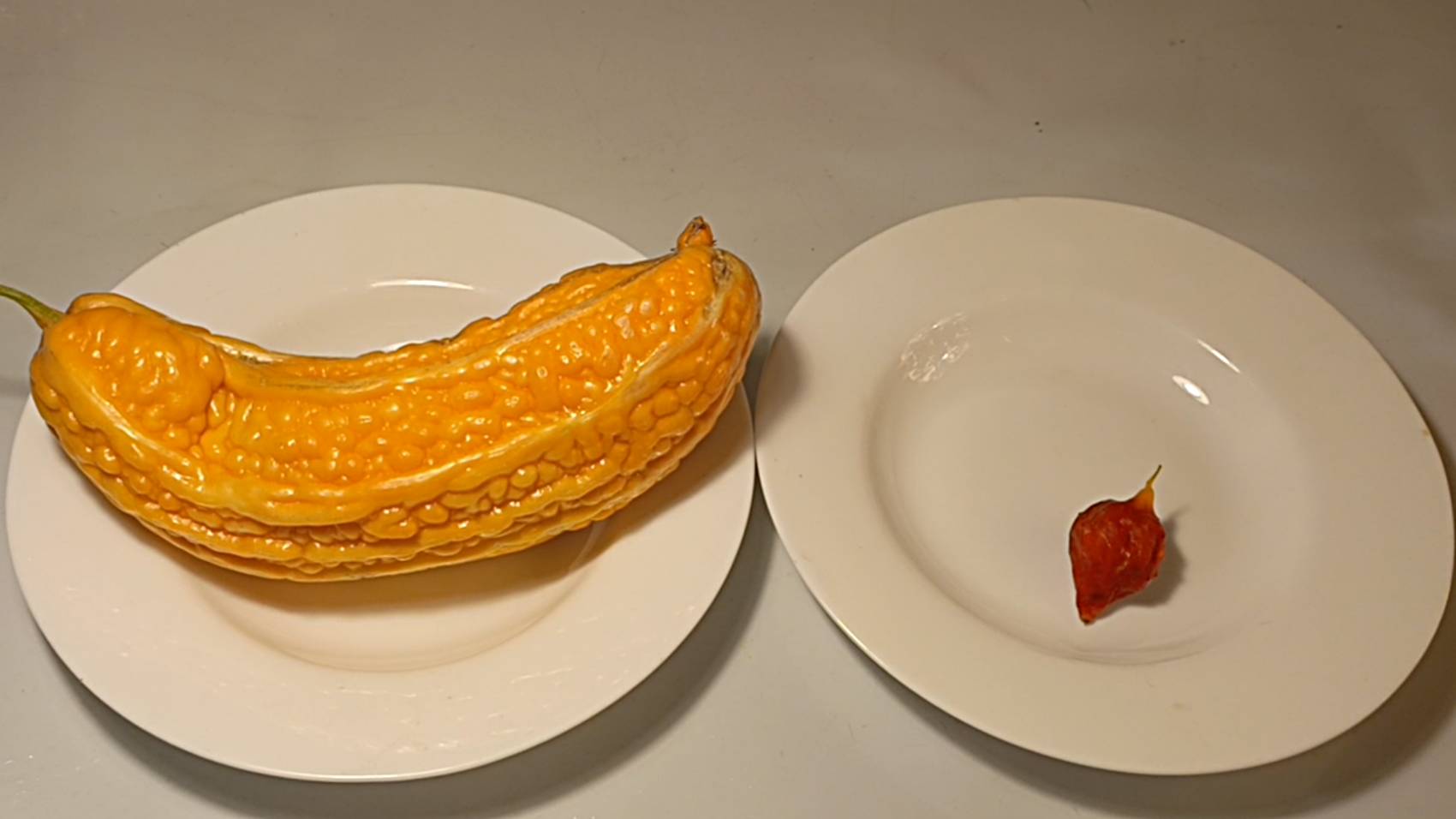 Сравненние двух видов момордики, харанции и бальзамической 2024г.