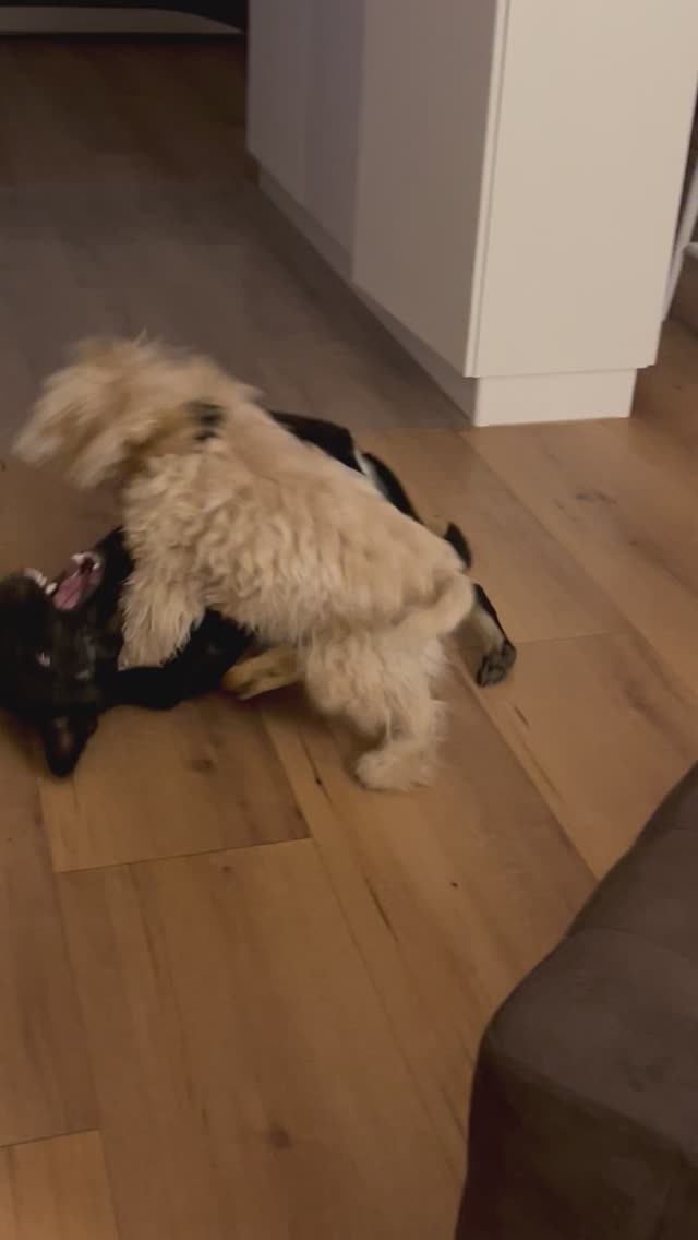 Вечерние игры