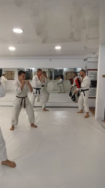 Школа боевых искусств Сейфукан Додзё г Сургут. Январь 2025. Отработка ударов 2