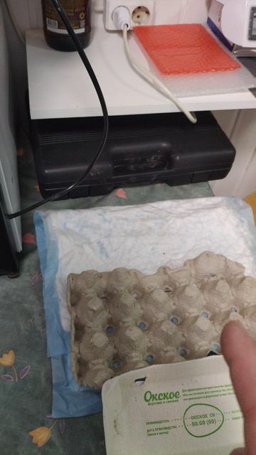 Как закладывать яйца в инкубатор, чтобы не мешать воздухообмену