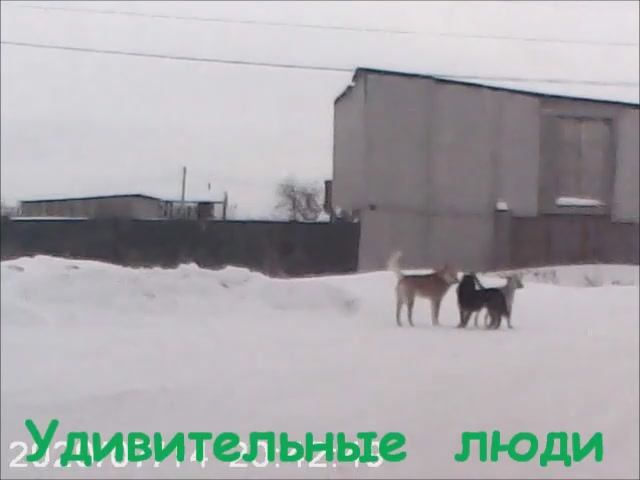 УДИВИТЕЛЬНЫЕ ЛЮДИ