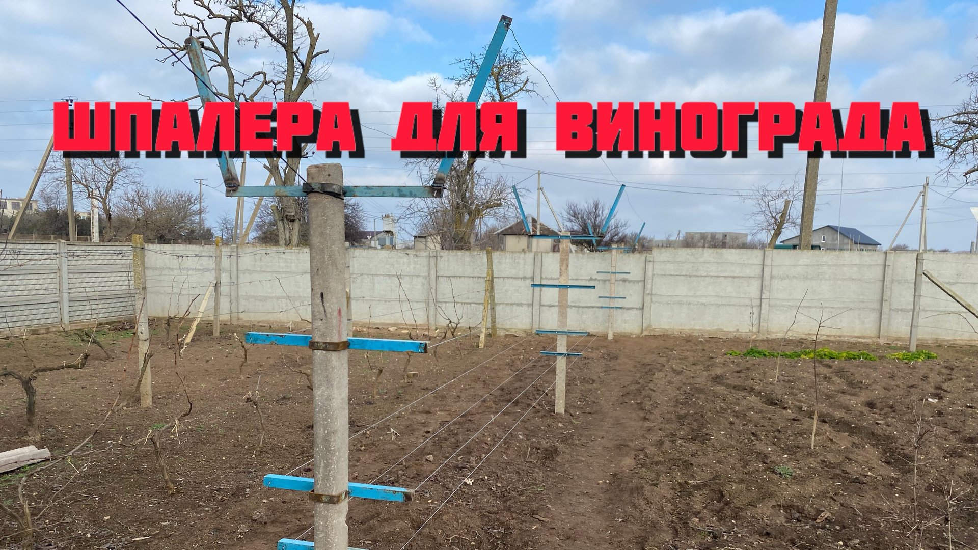 Шпалера для винограда