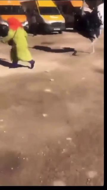 Мгновенная карма 😂