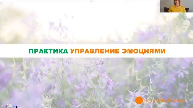 Лето в стиле mindfulness 3.0 - Неделя #3 - Эмоции. Практика управления эмоциями