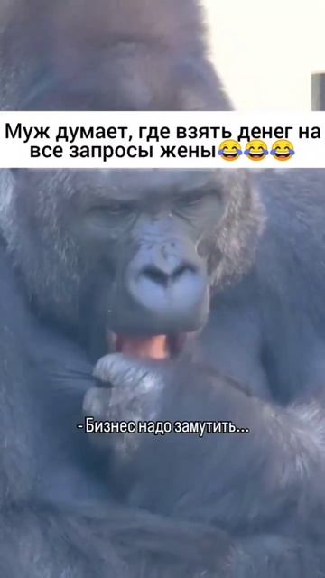 Жизненно 👍😄😄