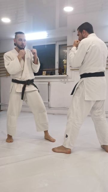 Школа боевых искусств Сейфукан Додзё г Сургут. Боксирование 2. Январь 2025