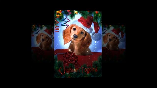 Новогоднее пожелание