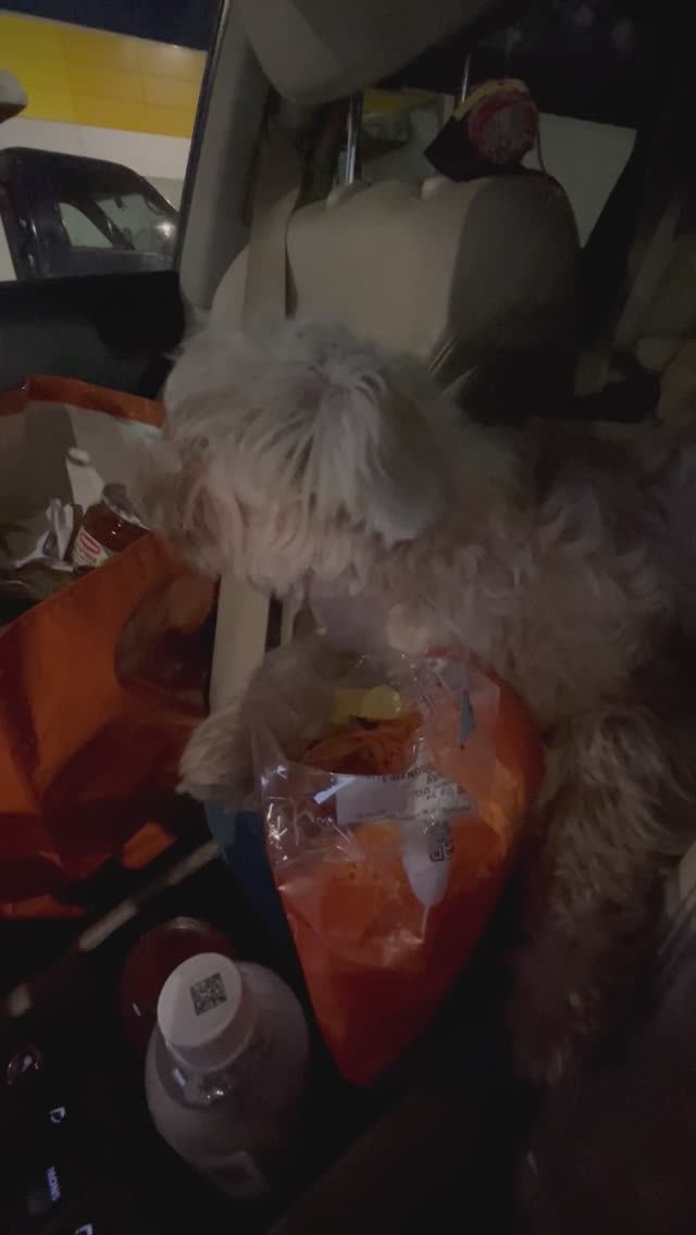 Собака-вегетарианец Тобиас #shorts