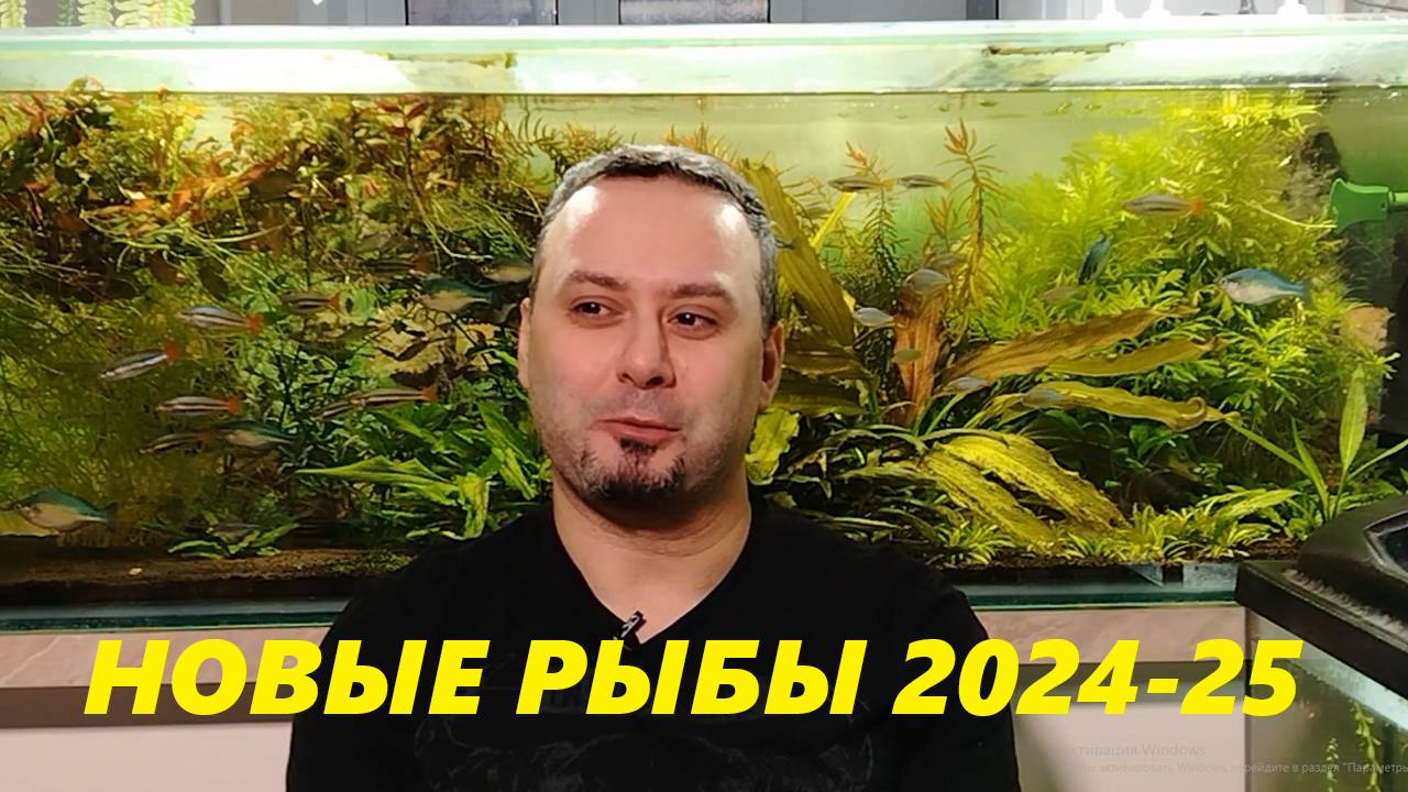 Зима 2024-2025. Новые рыбы